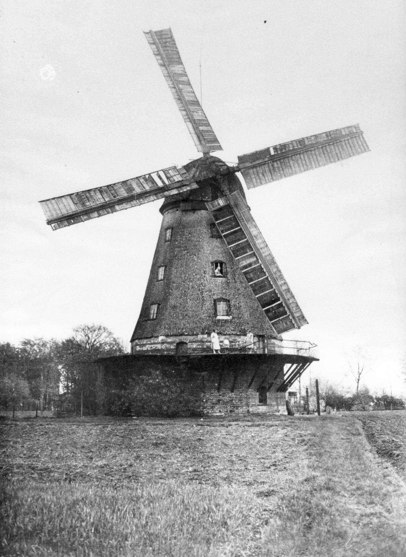 Die Welt der Molinologie - Britzer Mühle